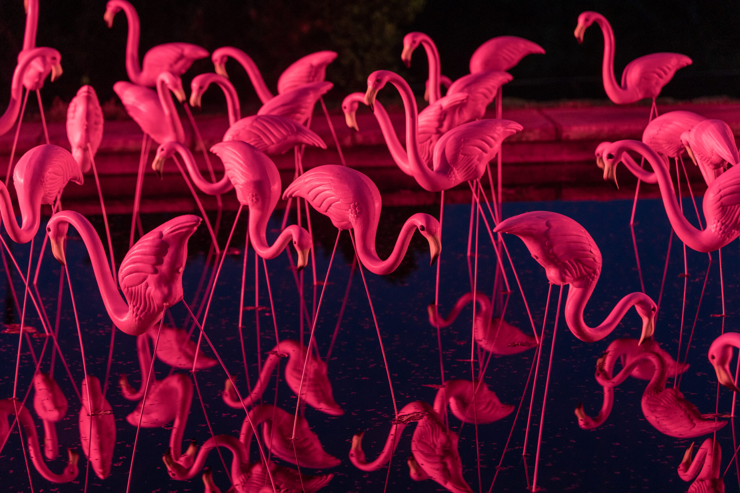 Glowga and LIGHT - Cheekwood